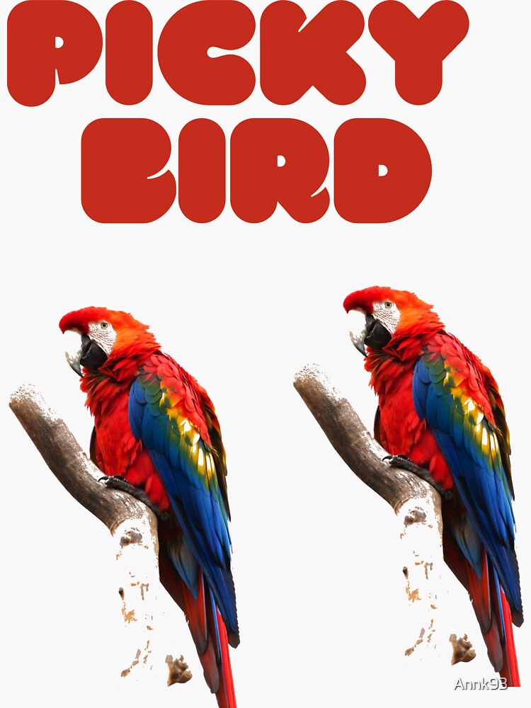 "picky bird grain,grain bird,bird,current and trending,with image,black ...