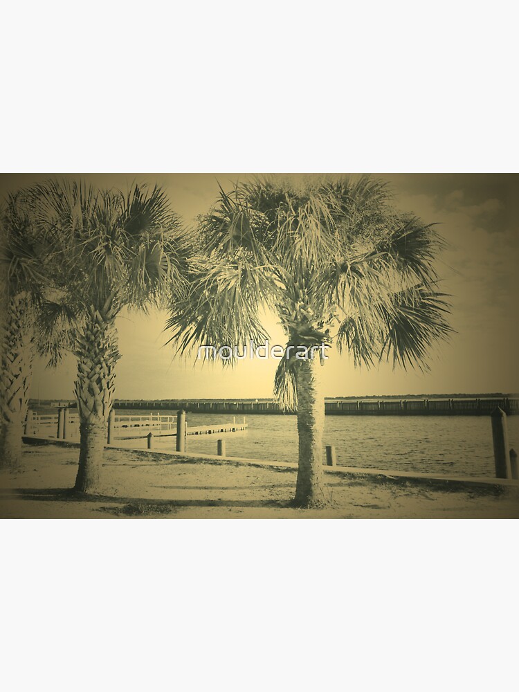 "Palm Trees at Lake Tohopekaliga Dock" Sticker by moulderart | Redbubble