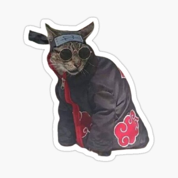 "Ninja Cat" Sticker by Woodrow1997 | Redbubble