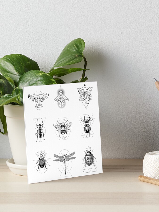 "lot of insects line drawing geometric mix nature fauna tiny magical ...