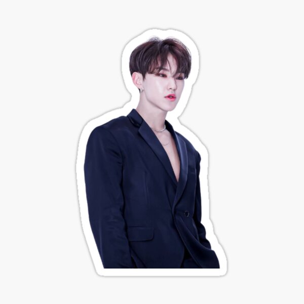 "Seventeen Hoshi" Sticker for Sale by wwjkhsk | Redbubble