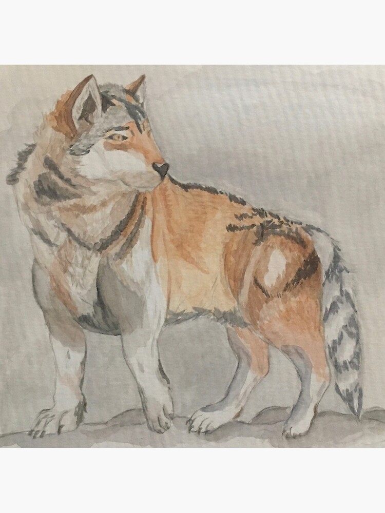 "red wolf looking back. " Poster by didisketchbook | Redbubble