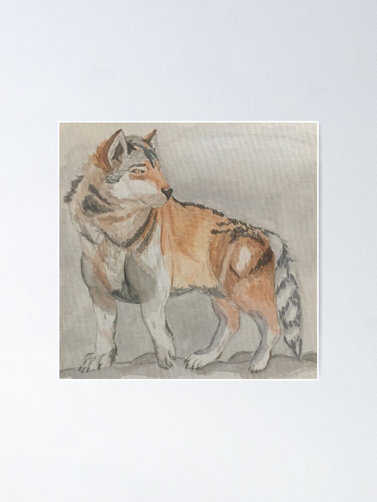 "red wolf looking back. " Poster by didisketchbook | Redbubble