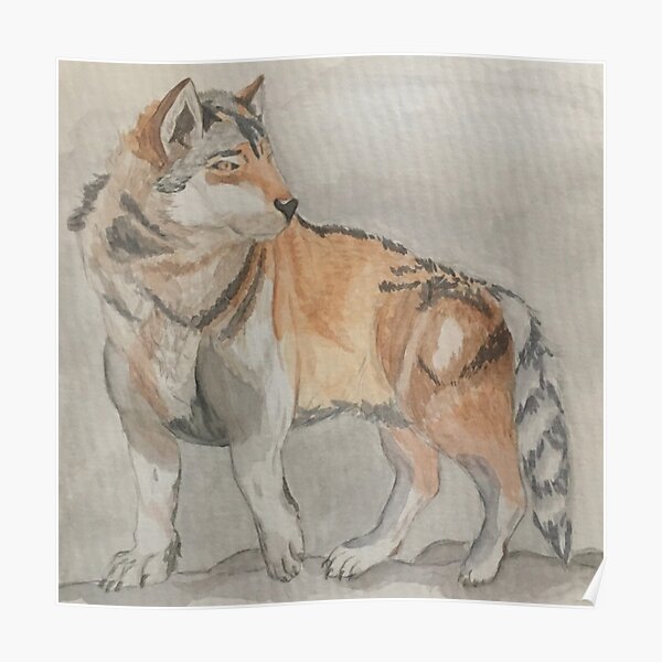 "red wolf looking back. " Poster by didisketchbook | Redbubble