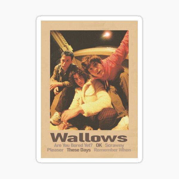 "Wallows" Sticker for Sale by Hi-it-is-me | Redbubble