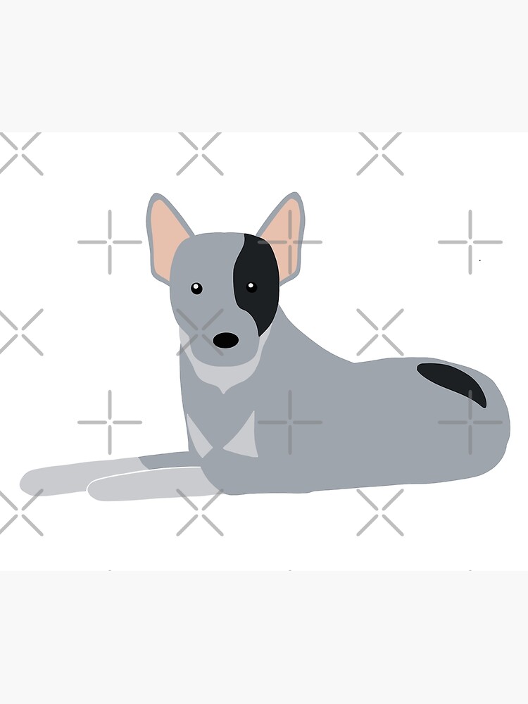 "Simple Blue Heeler Illustration " Art Print for Sale by Ollipreece ...