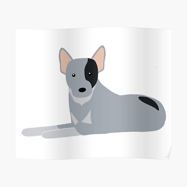 "Simple Blue Heeler Illustration " Poster by Ollipreece | Redbubble