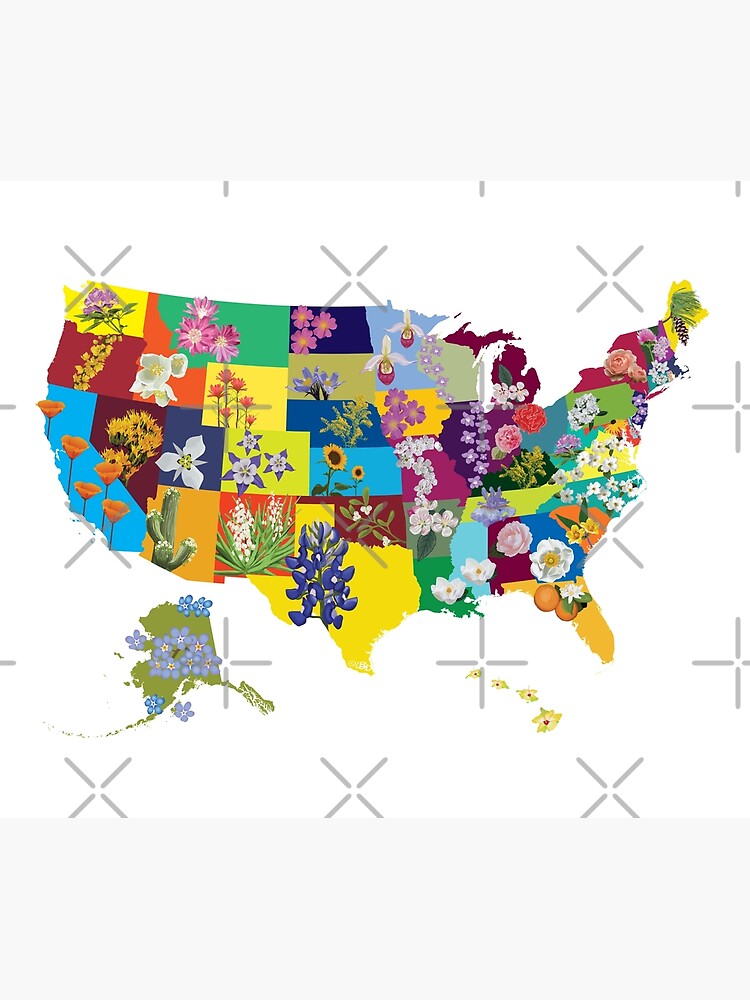 "US State Flower Map" Tapestry for Sale by Lavenderbuttons | Redbubble