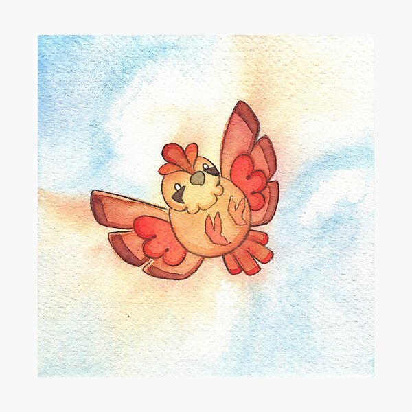 Pidgey Photographic Prints | Redbubble