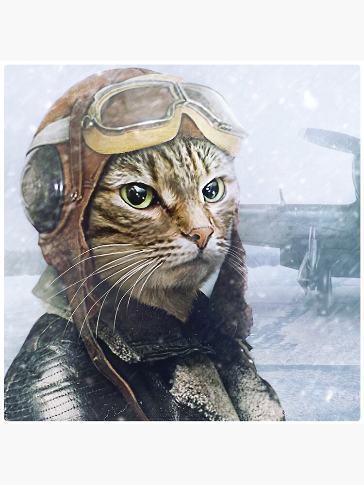 "Cat Pilot" Sticker for Sale by Purrland | Redbubble