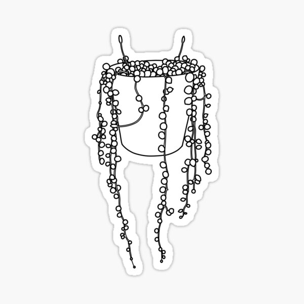 "senecio rowleyanus, uncolored" Sticker for Sale by natureworshxp ...