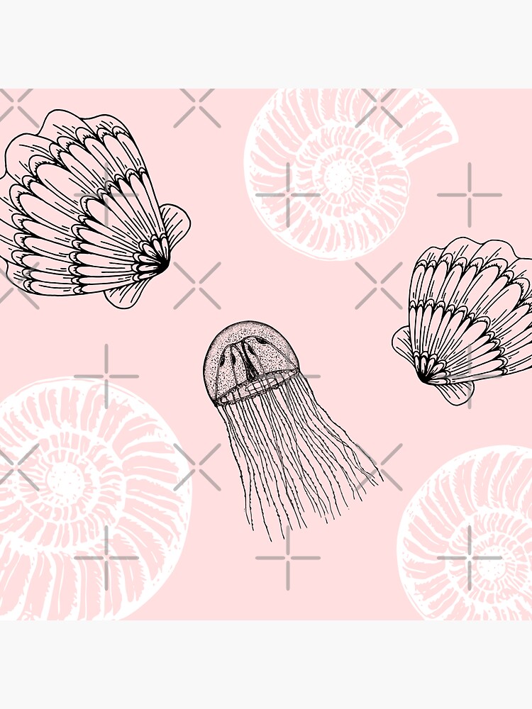 "Blush Pink Nautilus Shell Print" Sticker for Sale by rastone | Redbubble