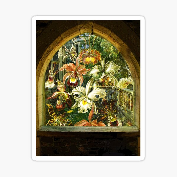"GARDEN WINDOW" Sticker by Tammera | Redbubble