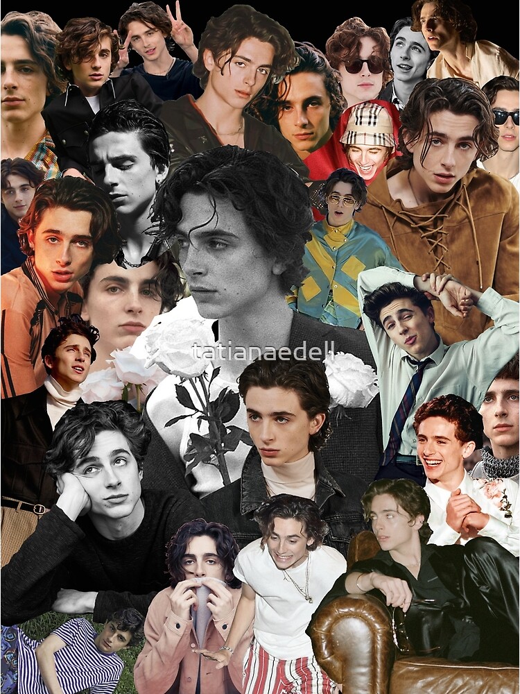 "Timothee Chalamet collage" Art Print for Sale by tatianaedell | Redbubble