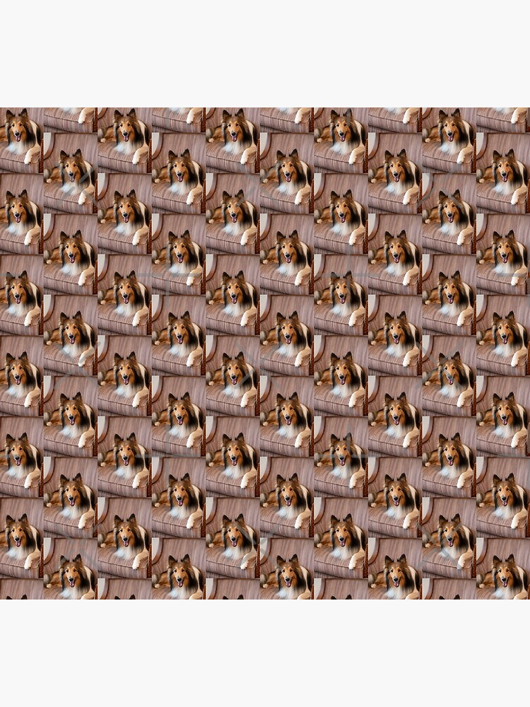 "Cute Sheltie dog resting" Socks for Sale by flamendes | Redbubble