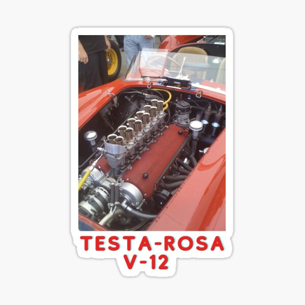 "Testa - Rosa V-12 Perfection tee" Sticker by RBOJCK | Redbubble