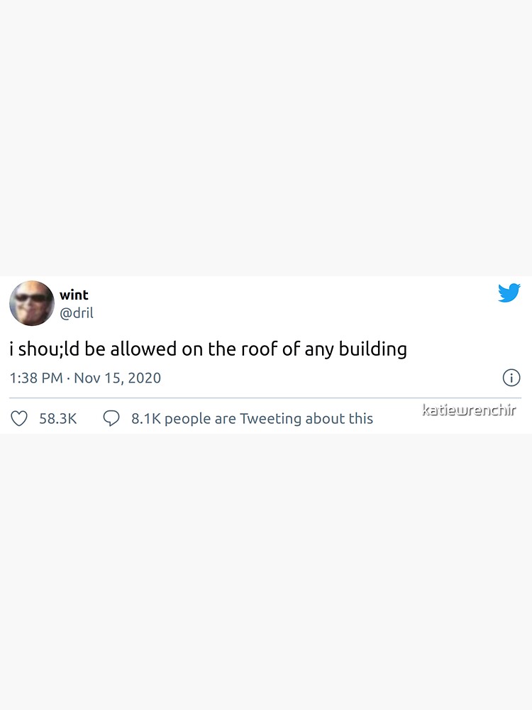 "dril tweet - roof" Sticker for Sale by katiewrenchir | Redbubble
