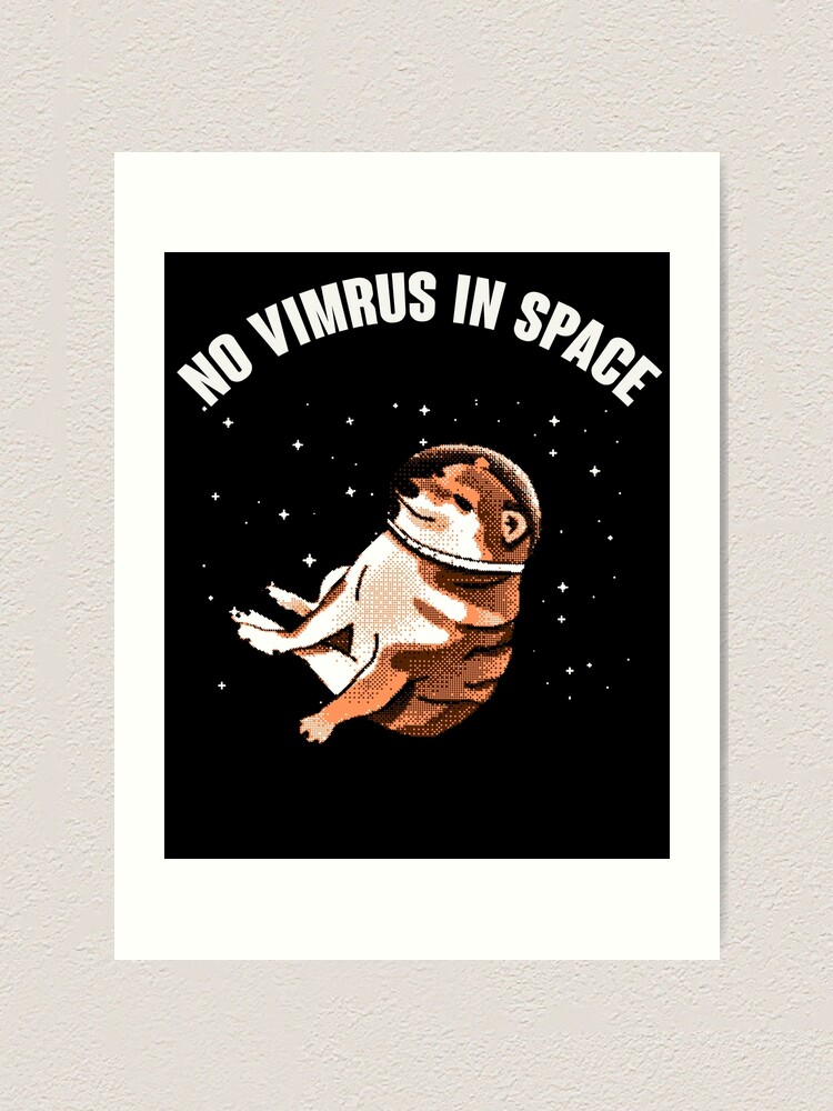 "CHEEMS DOGE SOMCIAL DISTAMCING NO VIRMUS IN SPACE FUNNY CHEEMSBURGER ...