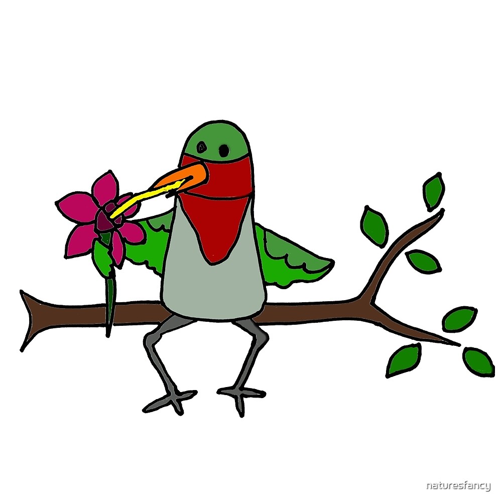 "Cool Funny Hummingbird Sipping Nectar from Straw" by naturesfancy ...