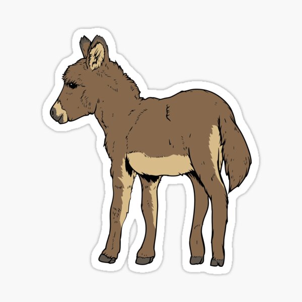 "Cute Baby Donkey" Sticker by EverythingKawai | Redbubble
