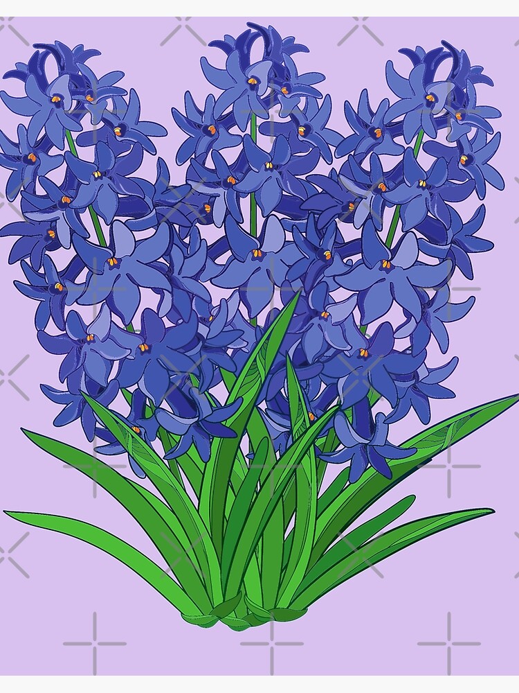 "purple hyacinth flowers sticker " Art Board Print for Sale by GulQari ...