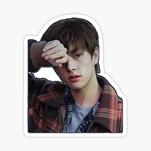 "Enhypen Jake " Sticker by enny00z | Redbubble