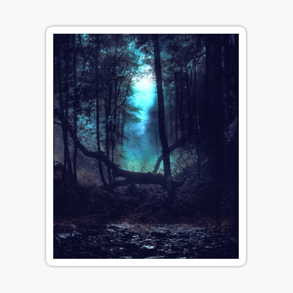 "Dark woods at night" Sticker for Sale by Starscoldnight | Redbubble