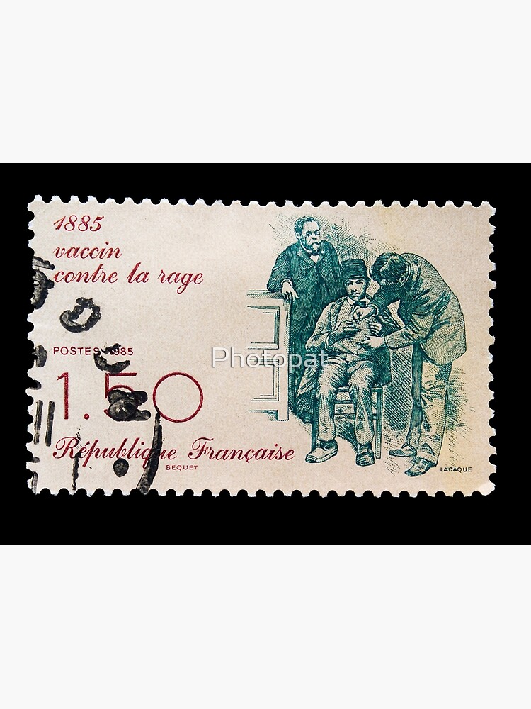"Postage stamp to celebrate rabies vaccine" Poster for Sale by Photopat ...