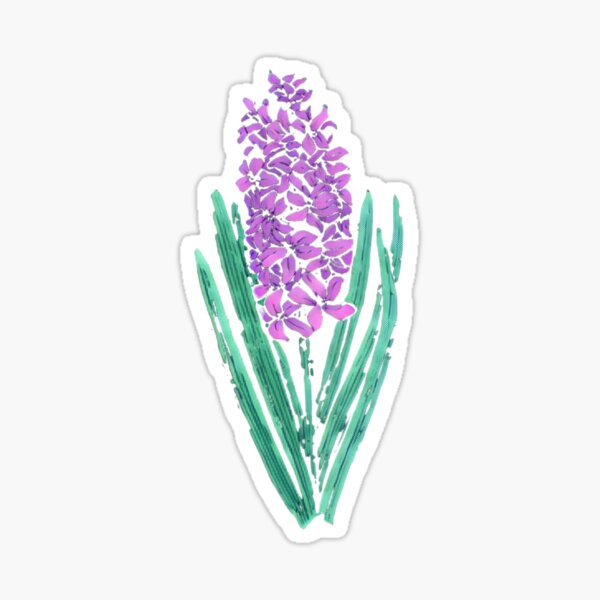 "Pink/Purple Hyacinth (Hyacinth Eight)" Sticker for Sale by ...
