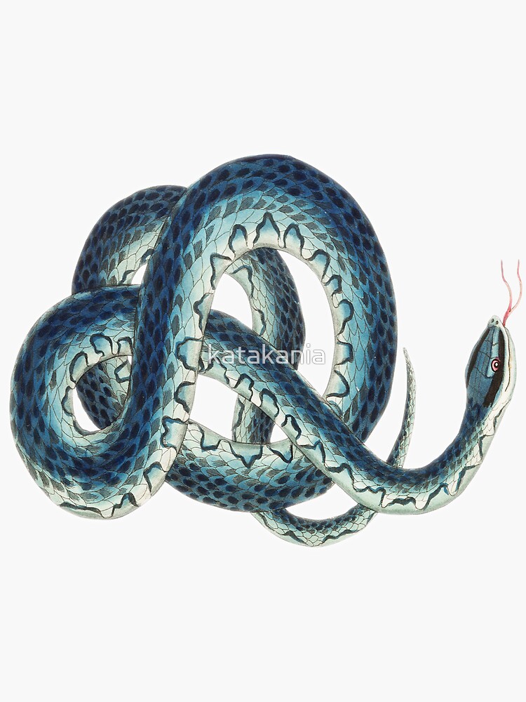 "Blue snake illustration" Sticker by katakania | Redbubble