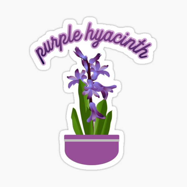 "PURPLE HYACINTH" Sticker for Sale by Cr1sV | Redbubble
