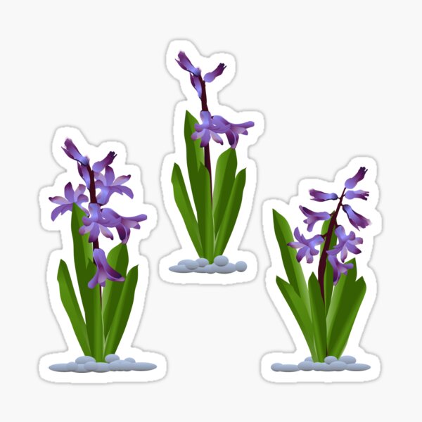 "PURPLE HYACINTH" Sticker for Sale by Cr1sV | Redbubble