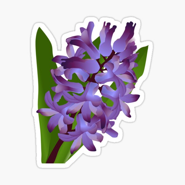 "PURPLE HYACINTH" Sticker for Sale by Cr1sV | Redbubble