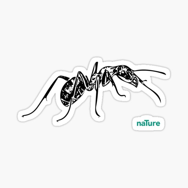 "Ant" Sticker by naTure-designs | Redbubble