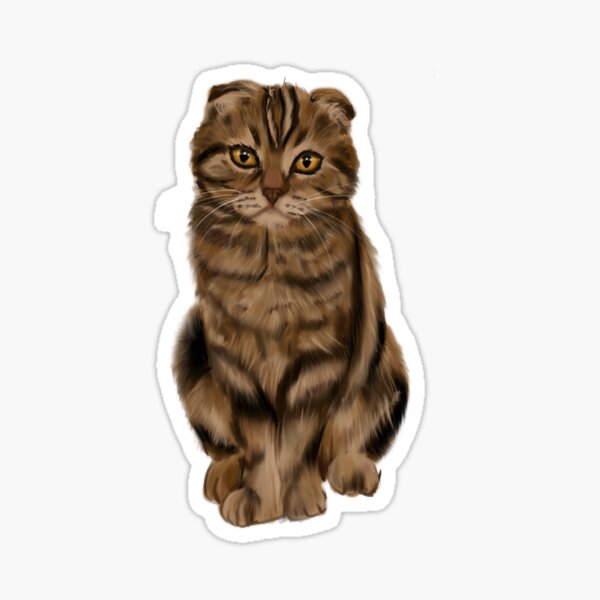 "Scottish Fold Munchkin" Sticker for Sale by art-Ada | Redbubble
