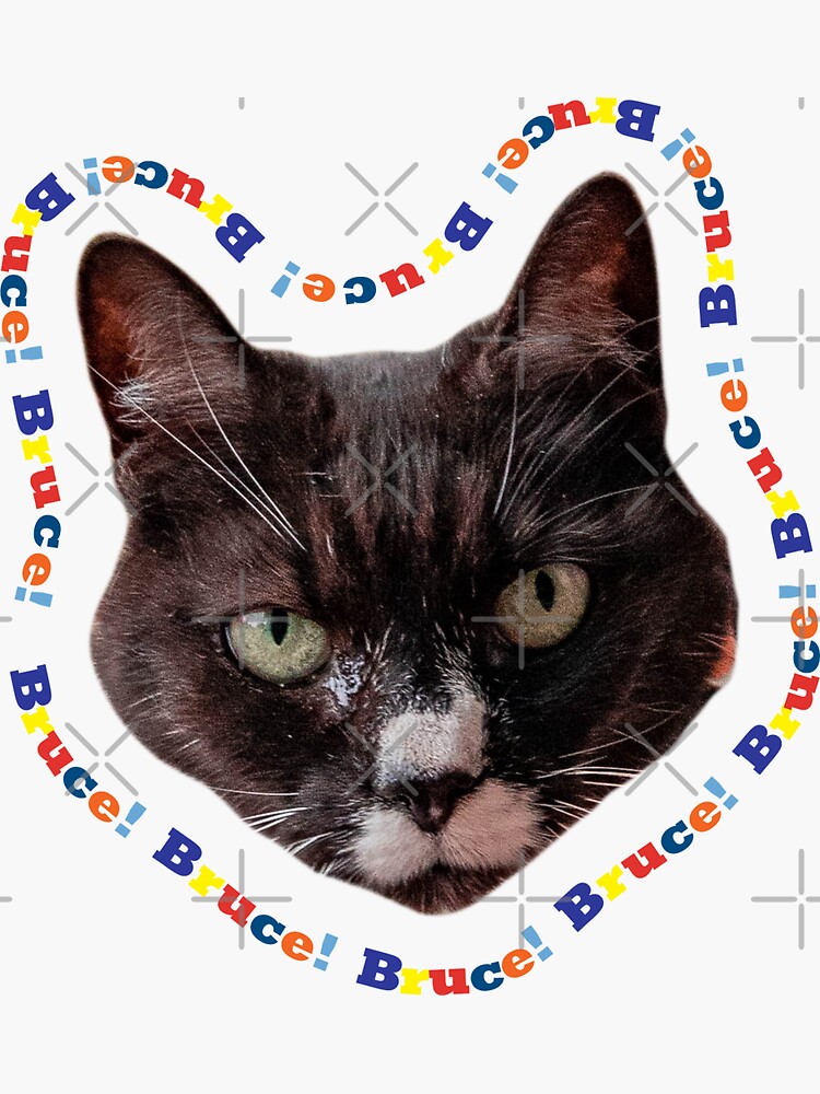 "Bruce the cat" Sticker for Sale by oliver1738 | Redbubble