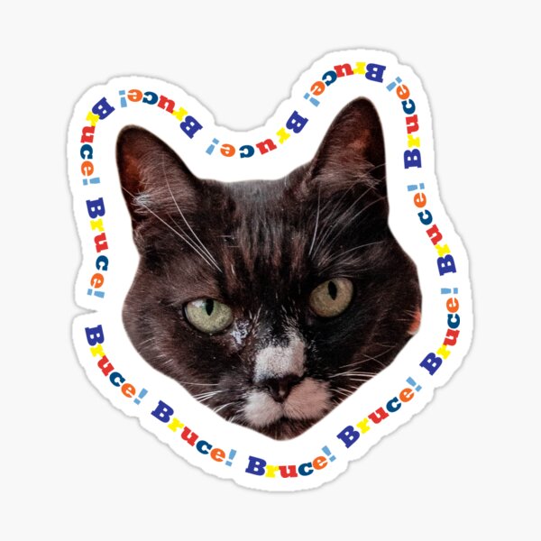 "Bruce the cat" Sticker for Sale by oliver1738 | Redbubble