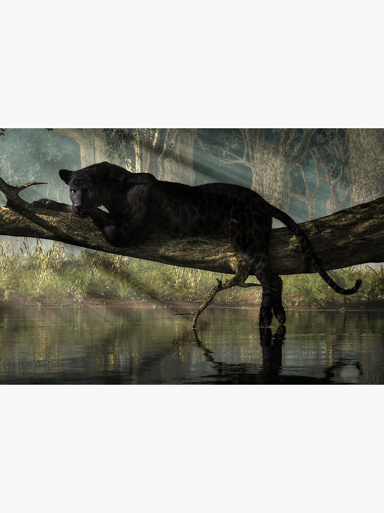 "Bagheera" Sticker for Sale by DanielEskridge | Redbubble