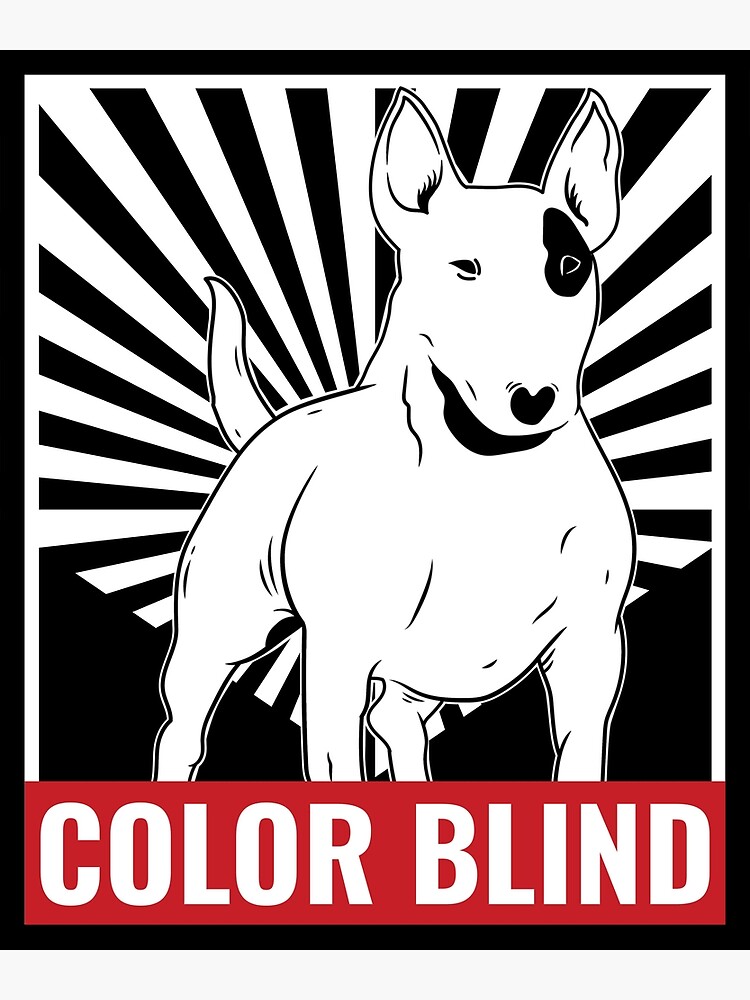"Color Blind" Poster by MaskUpTees | Redbubble