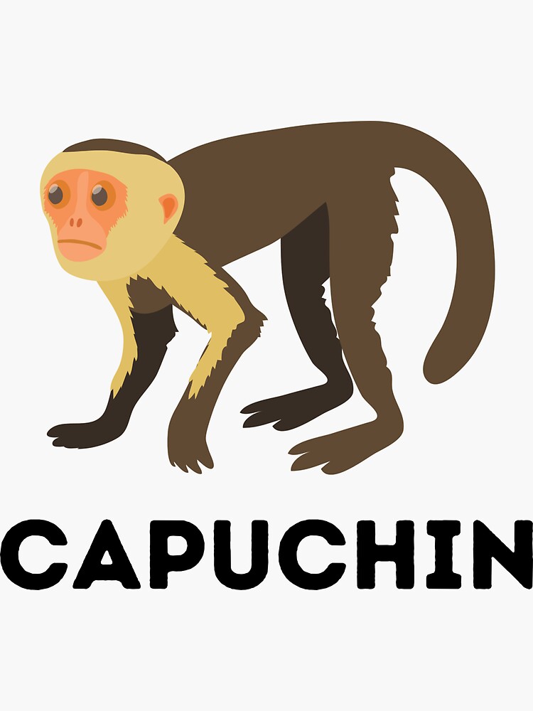 "capuchin clothing design" Sticker for Sale by colorizo | Redbubble