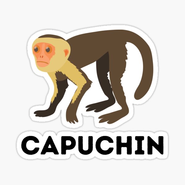 "capuchin clothing design" Sticker for Sale by colorizo | Redbubble