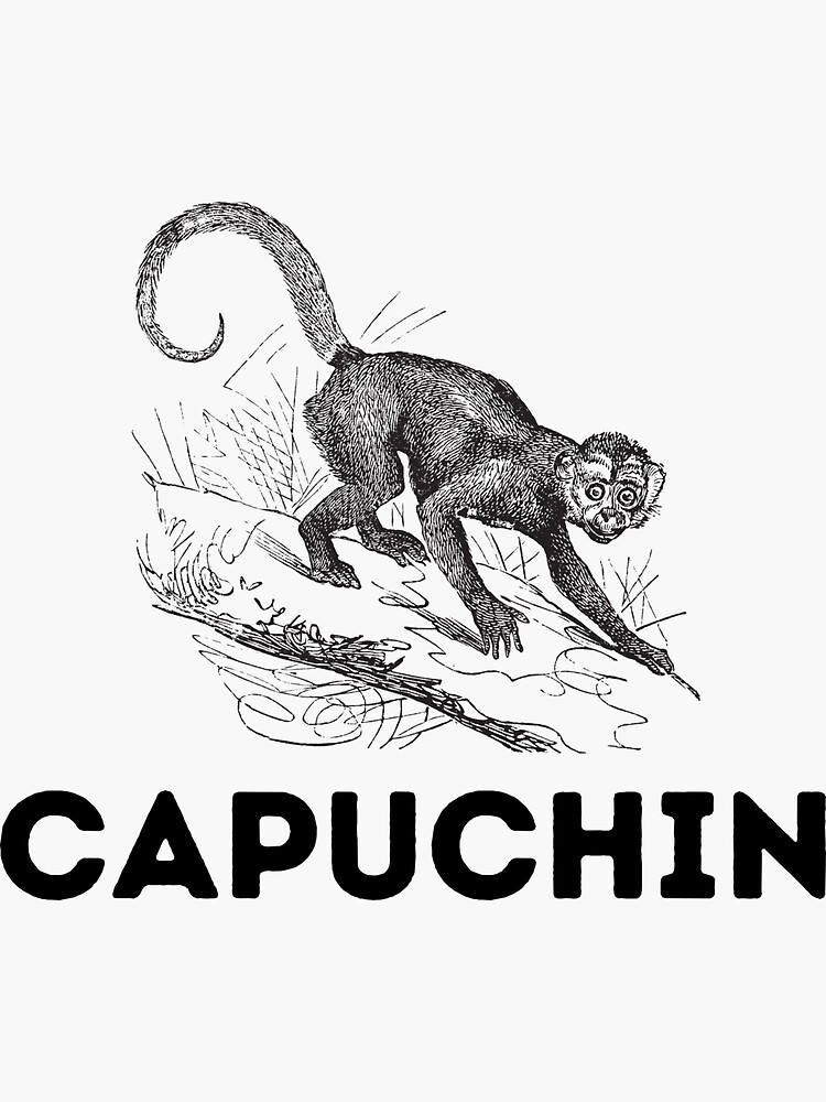 "capuchin clothing design" Sticker for Sale by colorizo | Redbubble