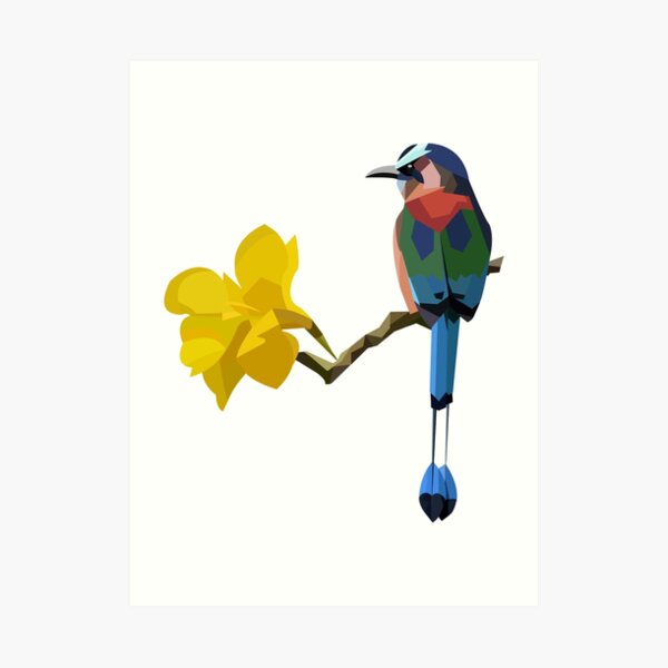 "Pájaro Toh" Art Print for Sale by brendacv | Redbubble