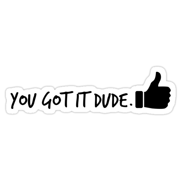 You Got It Dude Stickers By Alliejoy224 Redbubble