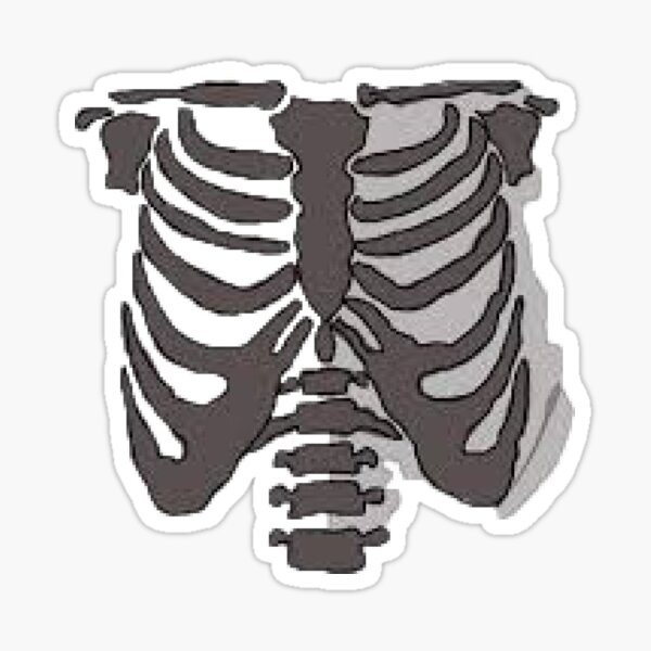 "Rib Cage" Sticker by playboicubby | Redbubble