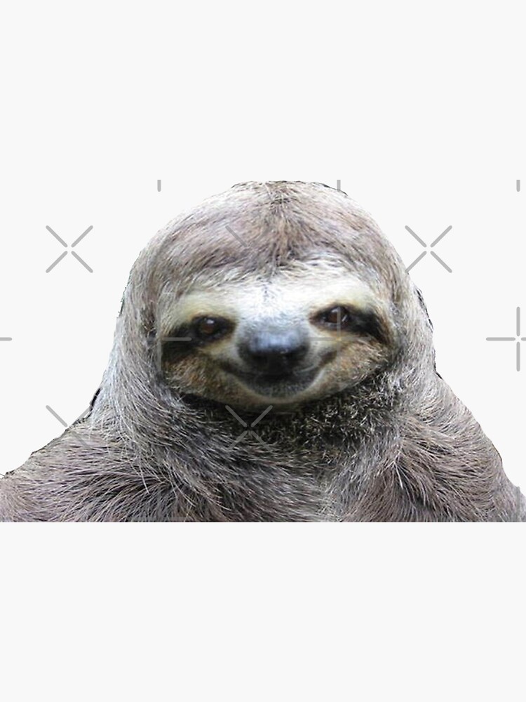 "Smiling Sloth" Sticker for Sale by EO Designs | Redbubble