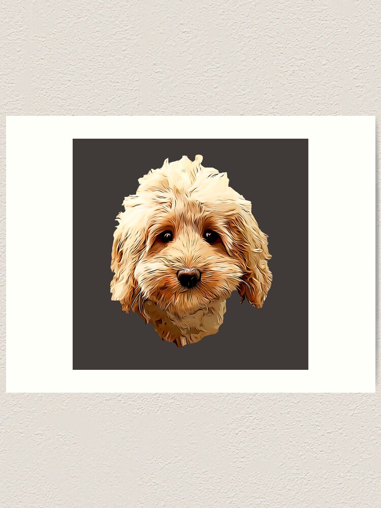 "Cavapoo Cockapoo Doodle Cuteness" Art Print by ElegantCat | Redbubble