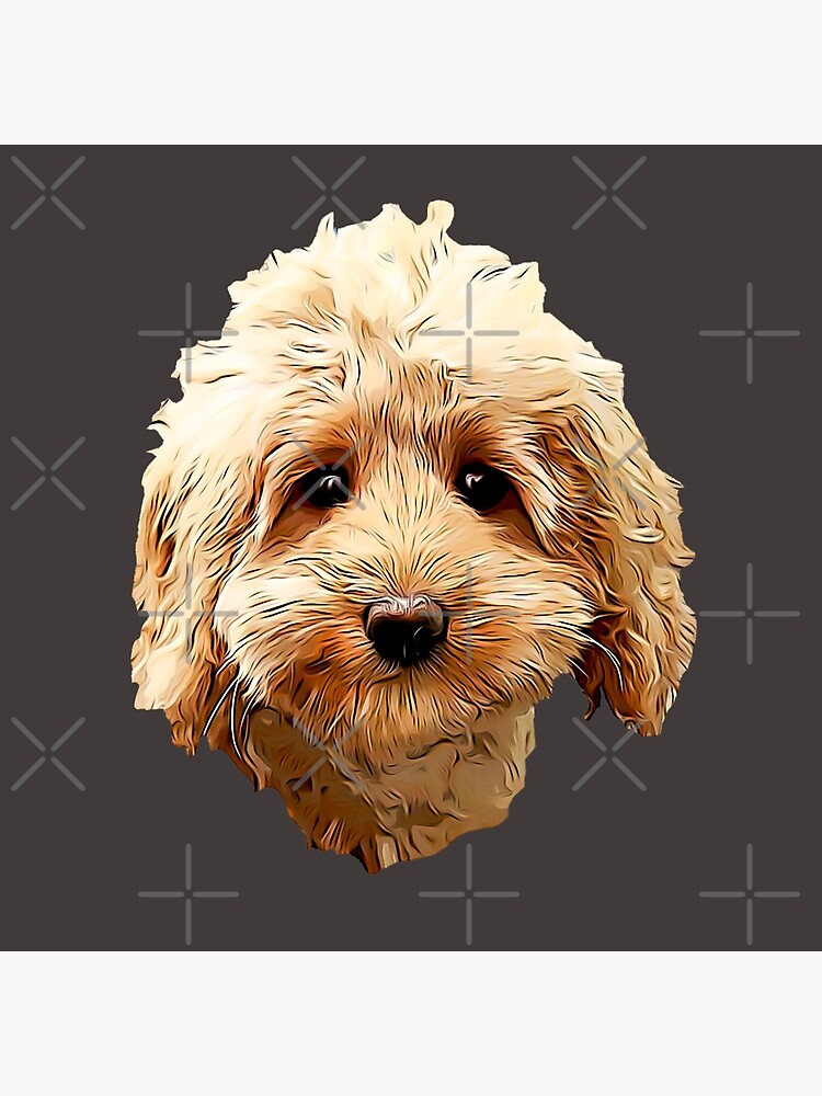 "Cavapoo Cockapoo Doodle Cuteness" Poster by ElegantCat | Redbubble