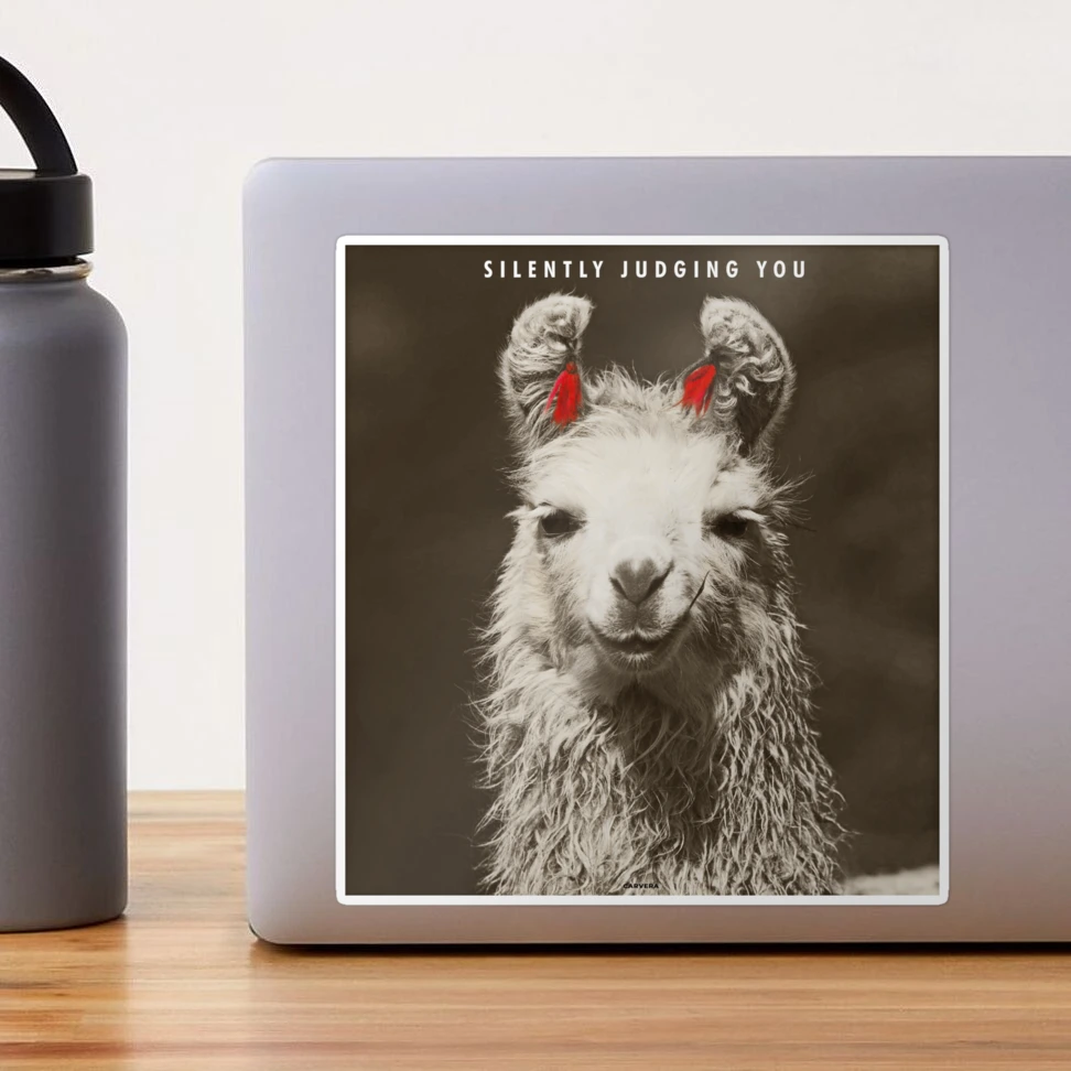 Judging You Llama The Smallholder Magazine No. 13 Alpacas In The