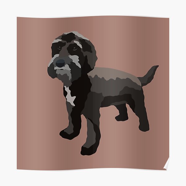 "Black Cockapoo Dog Portrait Digital Illustration" Poster by ...